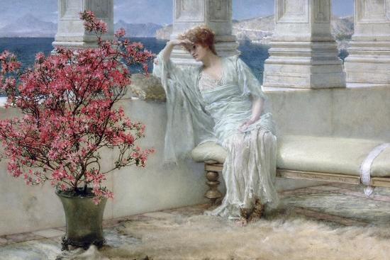 Interviewing Sabrina Ibrahim – Sorry! Zine